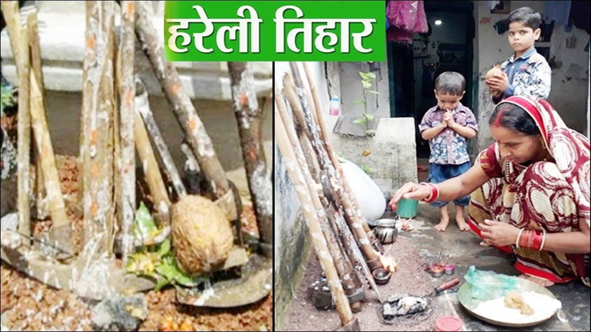 Hareli Festival 2022: हरेली अमावस्या आज: किसान करेंगे हल-बैलों की पूजा ...