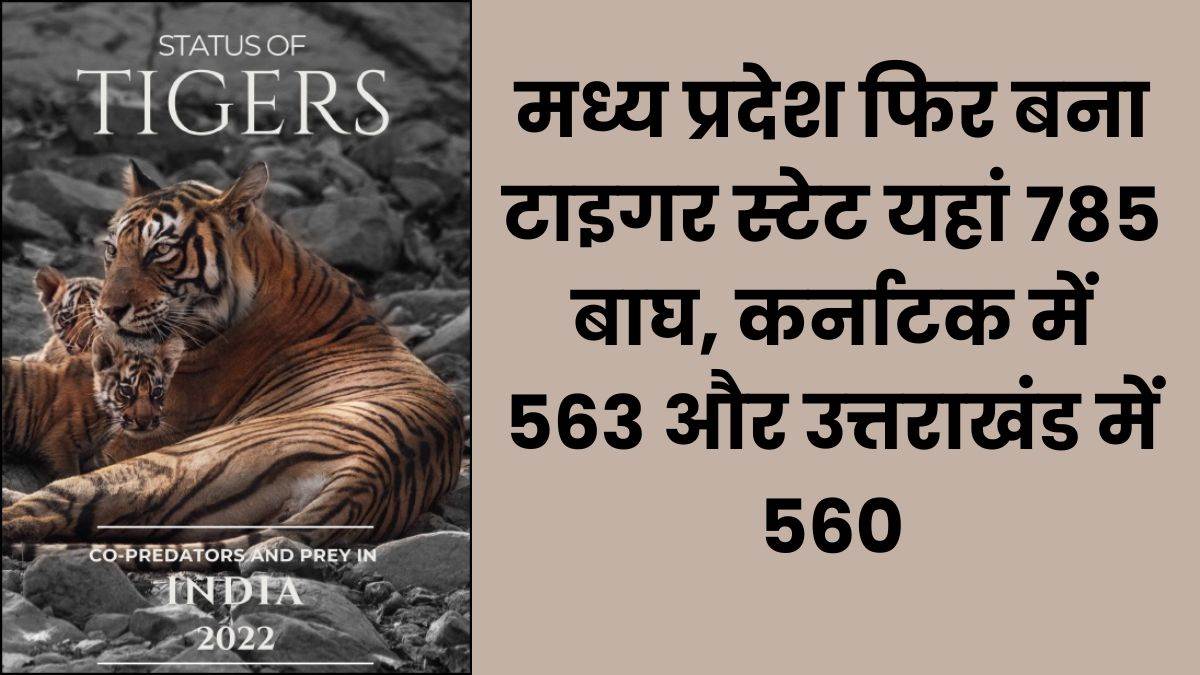 Tigers in MP: मध्य प्रदेश फिर बना टाइगर स्टेट, देश में सबसे ज्यादा 785 ...