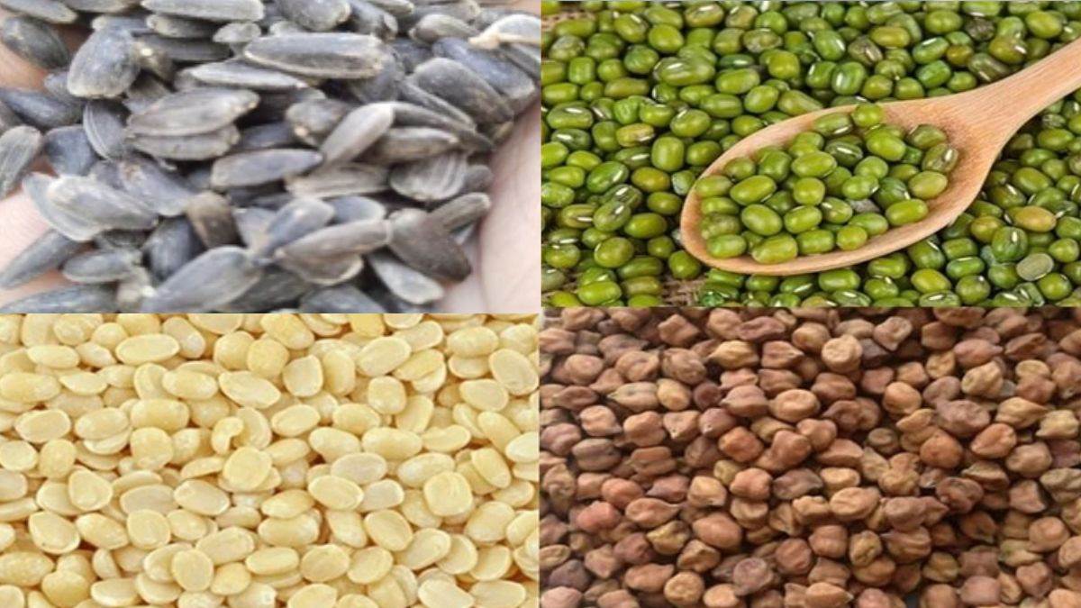Anaj Mandi Bhav: अब मूंग और सूरजमुखी की MSP पर होगी खरीद, केंद्र सरकार ...