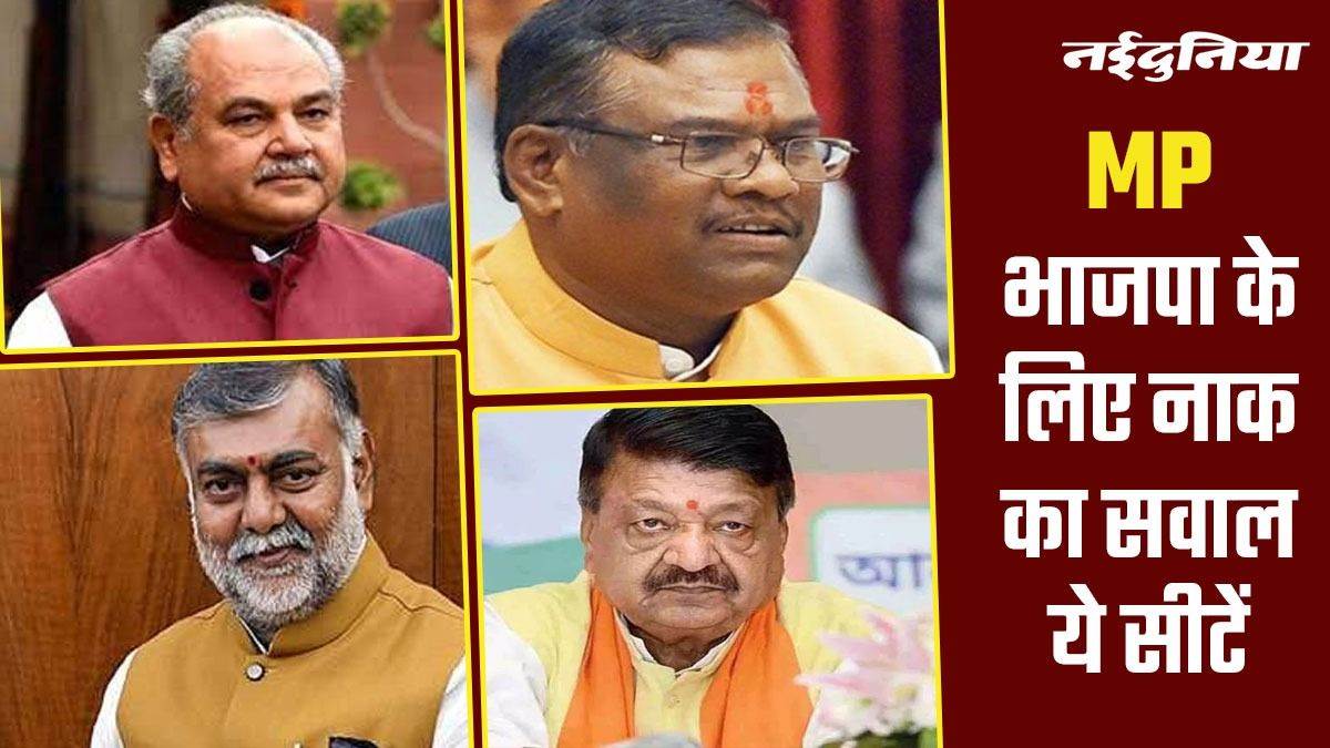 MP BJP Candidate: कभी भाजपा का गढ़ थीं ये सीटें, अब दिग्गजों को जिताने की जिम्मेदारी, जानें क्या ...