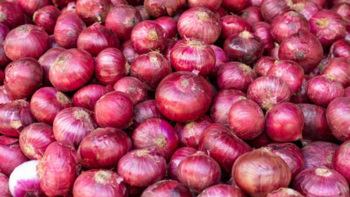 Onion Price Hike: प्याज रुलाने को तैयार, एक हफ्ते में दोगुना हुए दाम, जल्द 100 रुपये किलो हो ...