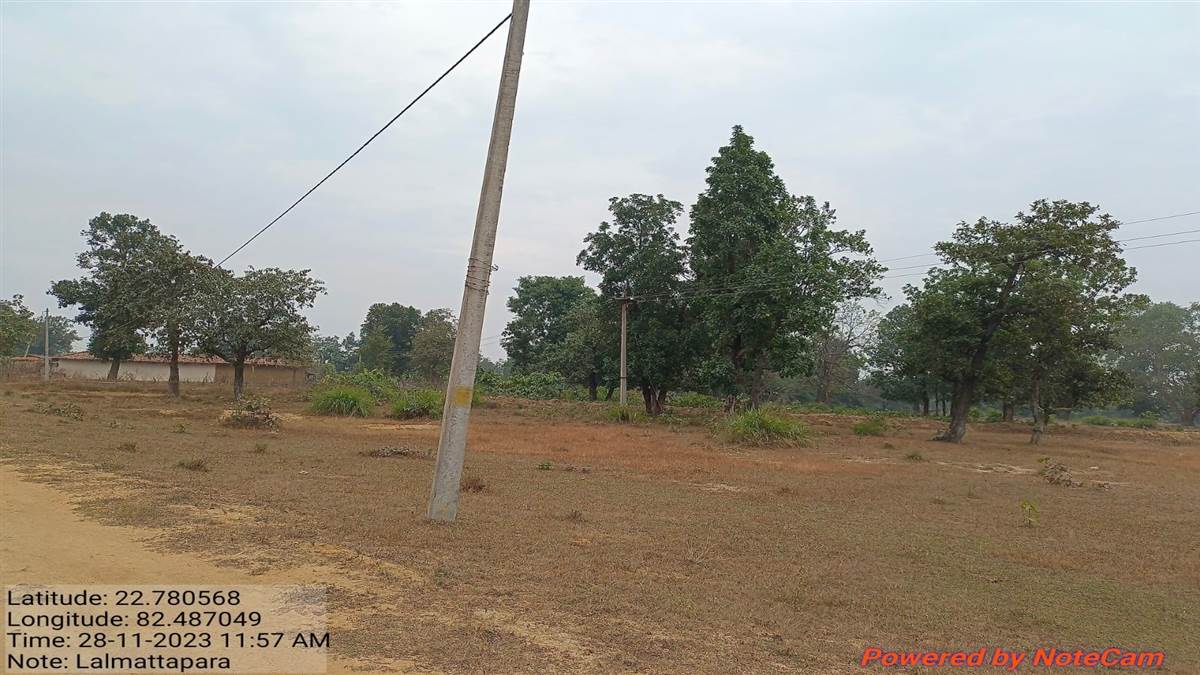 Korba News : हाथियों के लिए 120 खतरनाक स्पाट, लटक रहे बिजली के तार ...