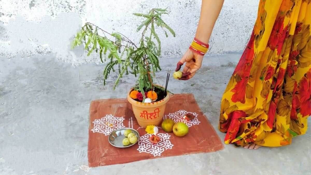 Amla Tree Puja: इस मंत्र का जाप कर आंवले के पेड़ की पूजा करें, भगवान ...