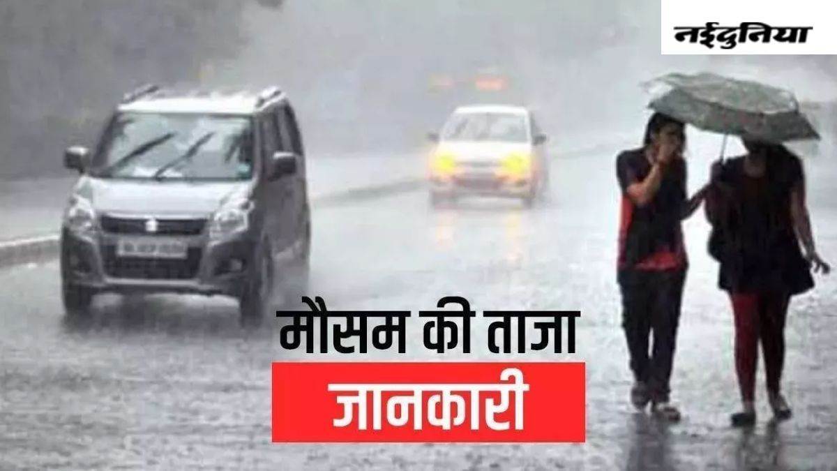 MP Weather: मावठे की भारी वर्षा से केले, टमाटर की फसल खराब, तुअर को भी ...