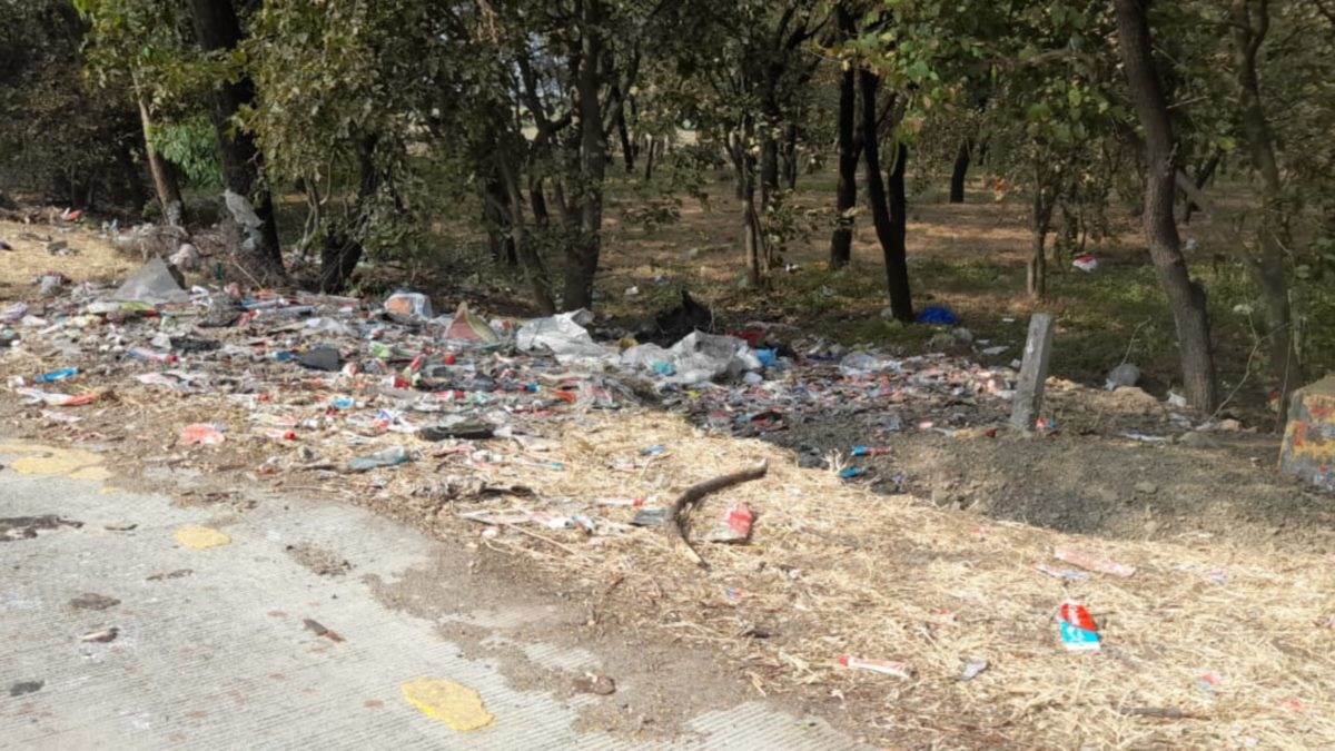 Bhopal News: प्रवासी पक्षियों के डेरे के पास फेंका जा रहा कचरा, जिम् ...