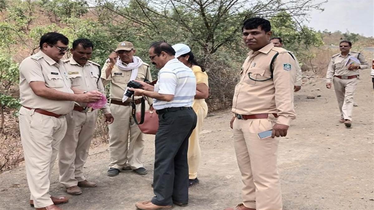 बड़वानी जिले में पेड़ के नीचे मिले फल के पटाखे की तरह फूटने की हकीकत ...