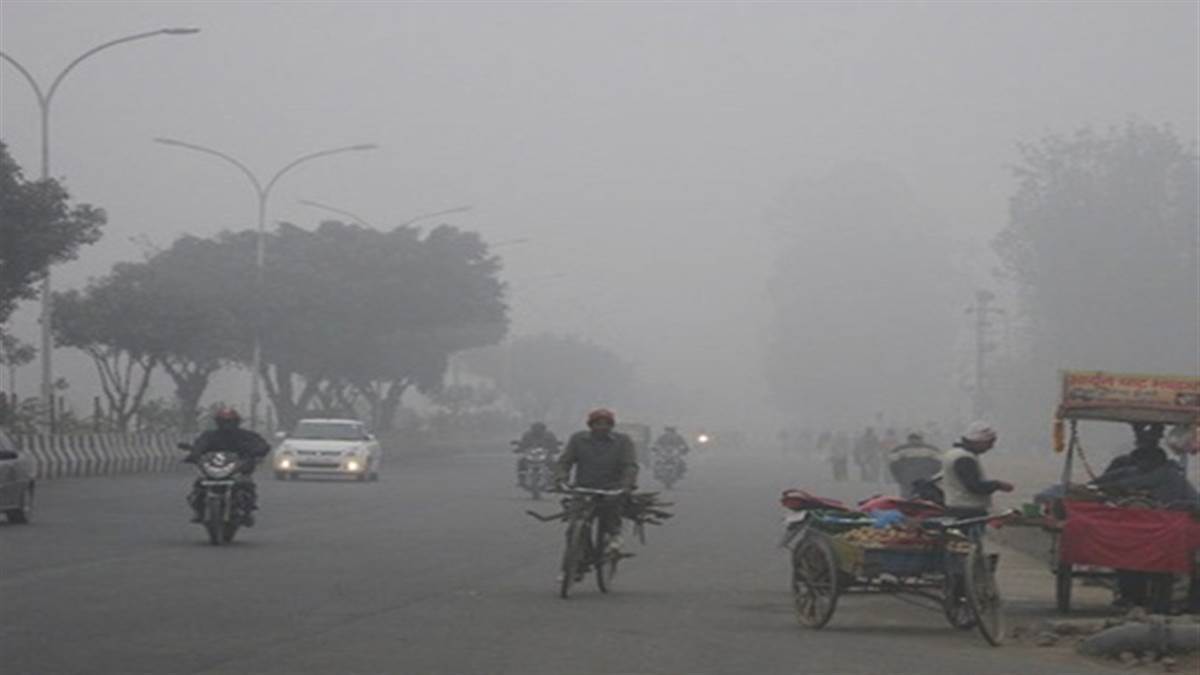 MP Weather News: सुबह से छाया रहा कोहरा, नर्मदापुरम, जबलपुर, शहडोल में ...