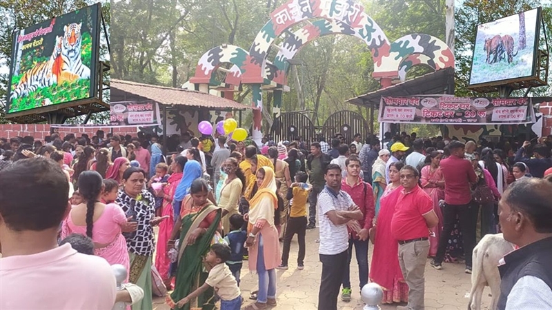 Bilaspur Kanan Pendari Zoo News: कानन में पर्यटक जानेंगे कैसे होते हैं ...
