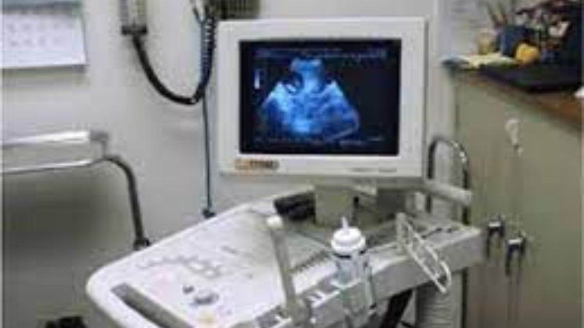 Bilaspur News: सोनोग्राफी सेंटर के एक्टिव ट्रैकर सिस्टम की फिर होगी जांच - Bilaspur News ...