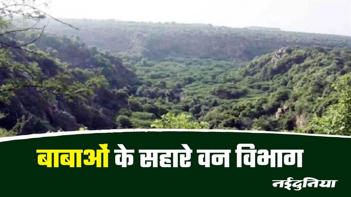 MP Forest News: वन्यजीवों का शिकार रोकने के लिए अब जादू-टोना करने वाले ...