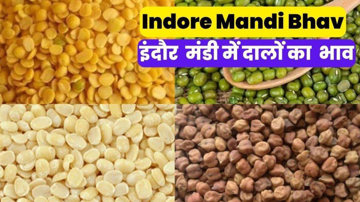 dal-rate-in-madhya-pradesh-100