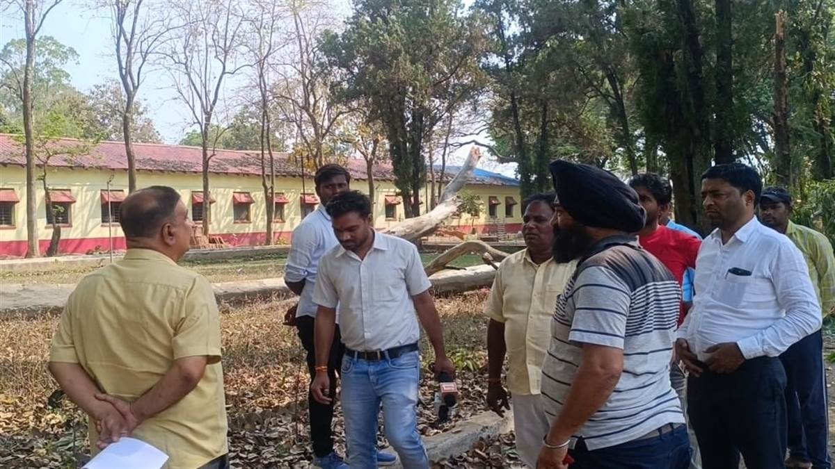 स्कूल में नियमों को ताक में रखकर काटे गए पेड़ - Trees were cut in ...