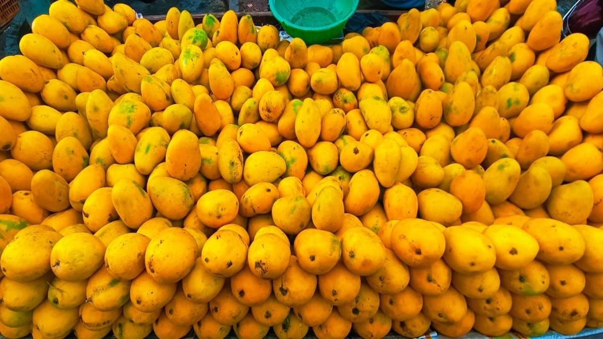 King of Fruit: ग्‍वालियर में फलों के बाजार में 'राजा' आया - King of ...