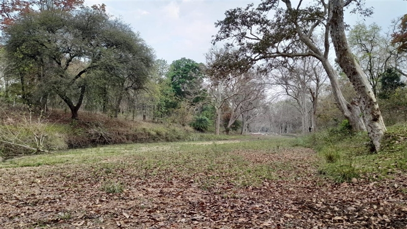 Seoni News : घने जंगल के बीच तंबू में रात बिताने का रोमांच, शुद्ध देशी ...