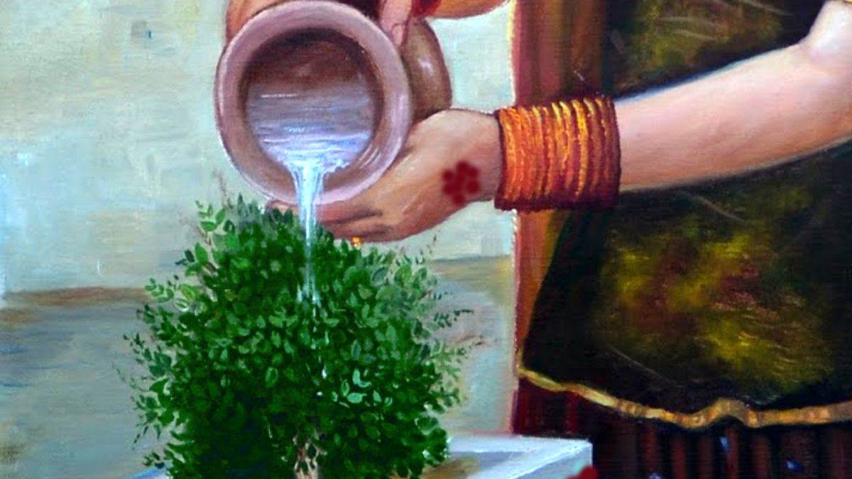 Tulsi Puja Niyam: तुलसी को जल चढ़ाने से पहले करें ये काम, कभी नहीं होगी ...