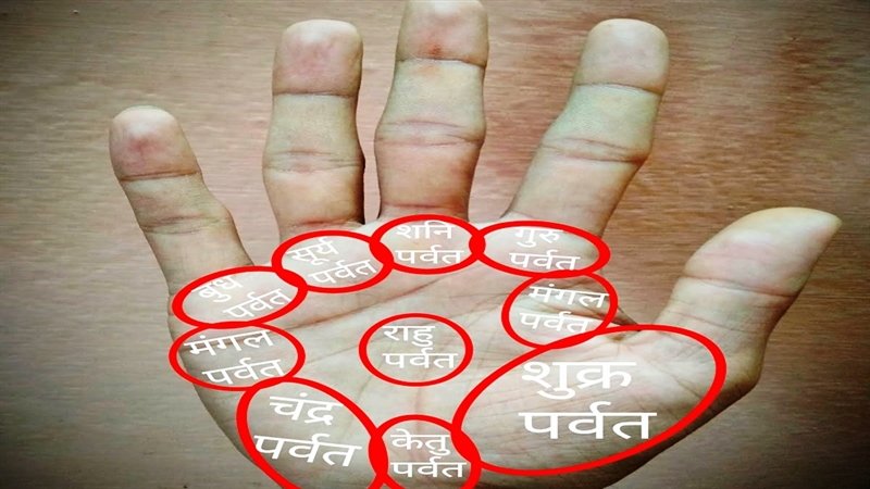 Palmistry Astrology: हथेली में शुभ नहीं होता है ये निशान चंद्र पर्वत पर ...