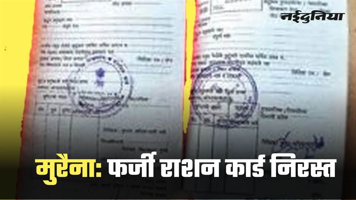 Morena News: तहसीलदार ने बनवाए 916 फर्जी BPL राशन कार्ड, पटवारी के साइन ...