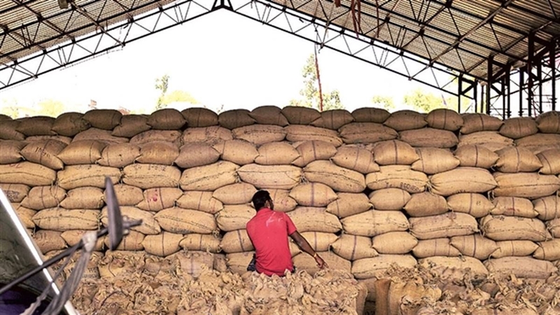 Anna Bhandaran Yojana: अब नहीं होगा बर्बाद अनाज सरकार का मेगा प्लान 1 ...