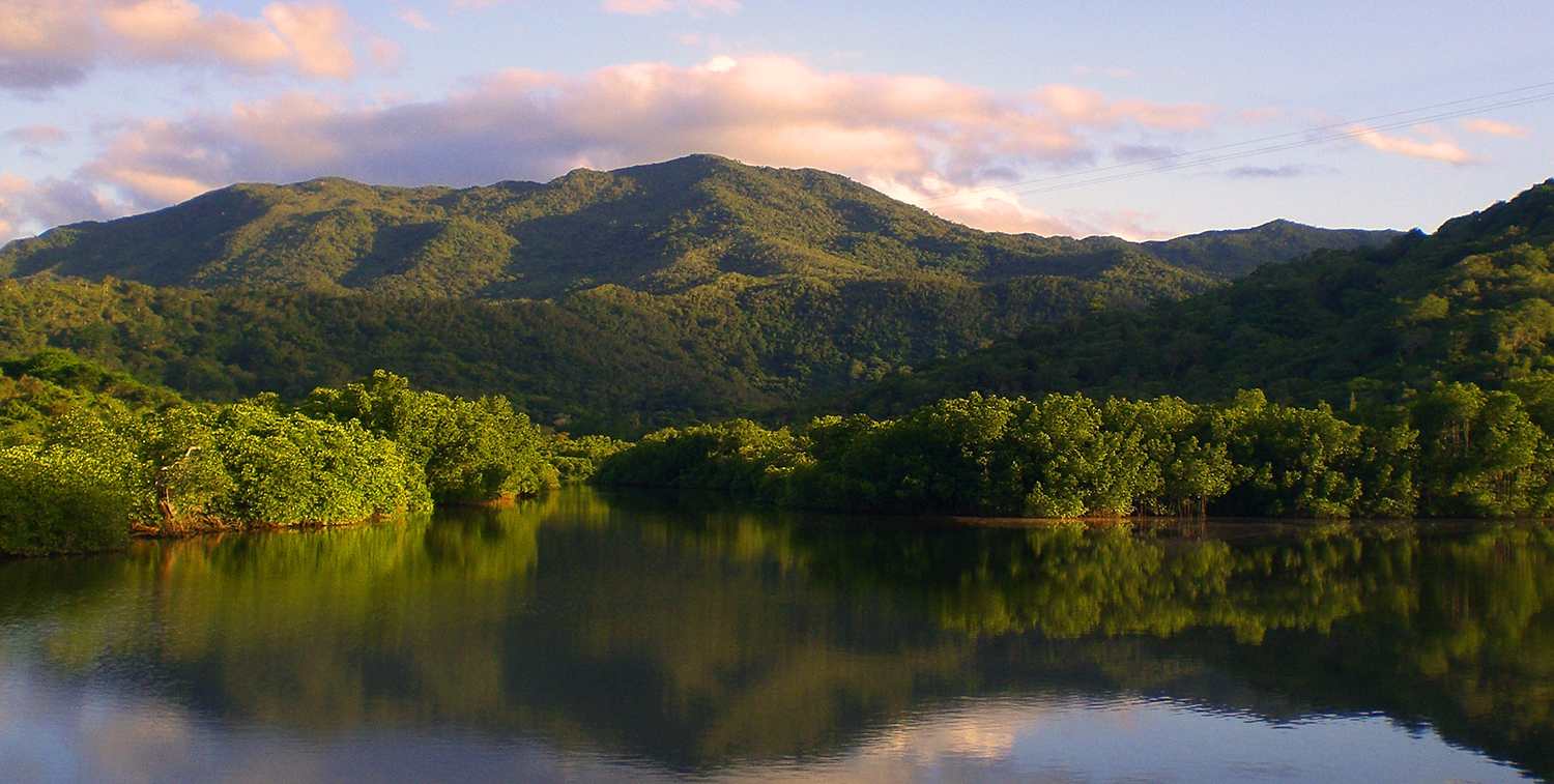 Travel Plan: घूमने का बना रहे हैं प्लान? देखिये भारत में जैव विविधता के ...