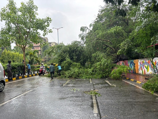 Monsoon in Indore: इंदौर में 25 जून तक आ सकता है मानसून, तब तक रुक ...