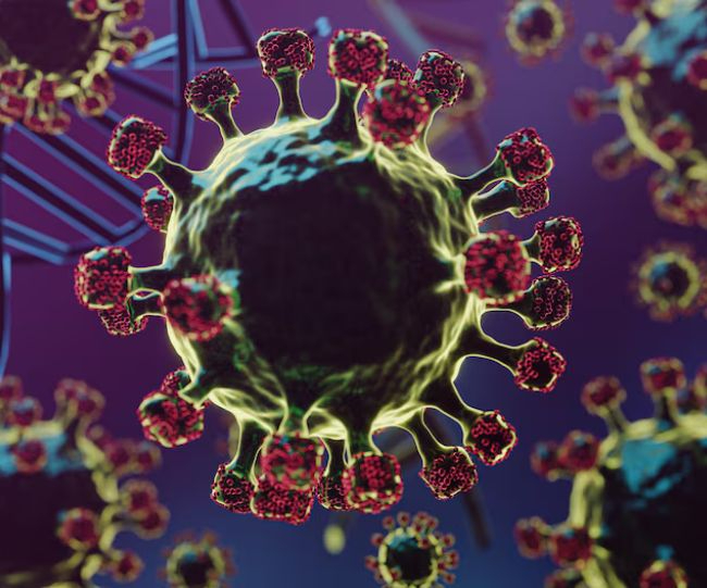 Mpox Alert: WHO ने की नए 'हाइब्रिड' स्ट्रेन की पुष्टि, भारत और यूके में ...