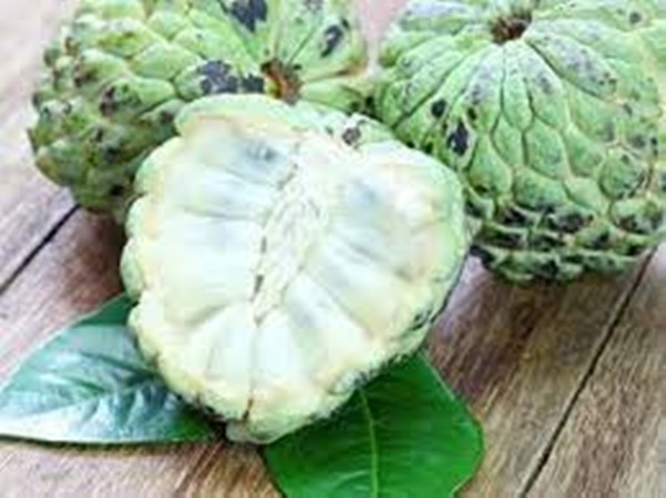 Sitaphal Fruit: सीताफल में कई औषधीय गुण, कैंसर और डायबिटीज को रोकने में ...