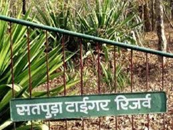 Wildlife in Madhya Pradesh: वन्य प्राणियों के सफल स्थानांतरण का उदाहरण ...