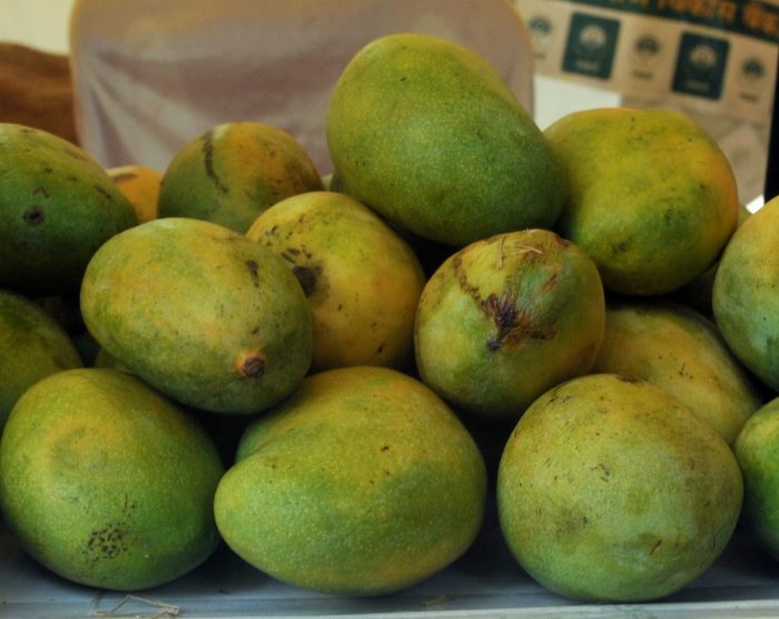 Bhopal News: मैंगो फेस्‍टिवल में 'नूरजहां' ने लोगों को लुभाया, जीआइ ...