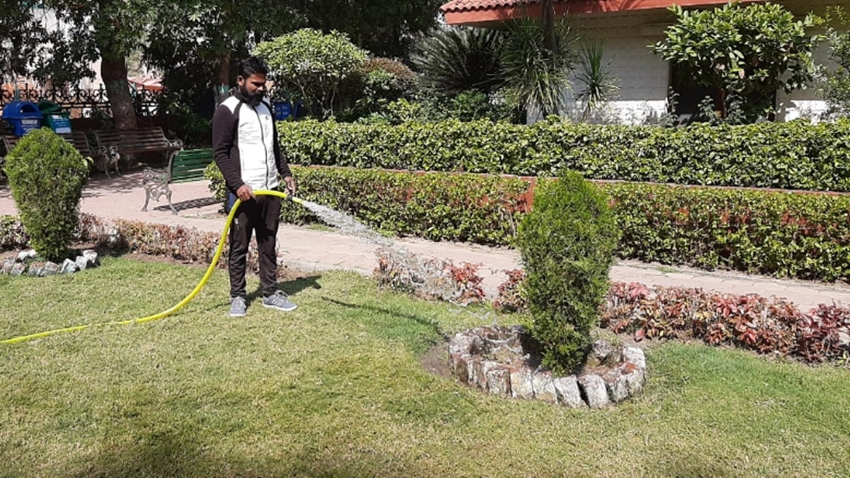 Indore News: उपचारित पानी से डेली कालेज व टाउनशिप में हो रही हरियाली ...