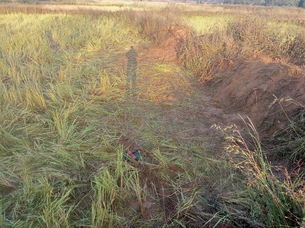 Dindori News : छत्तीसगढ़ से पहुंचा हाथियों का झुंड, घर-फसल को पहुंचाया ...