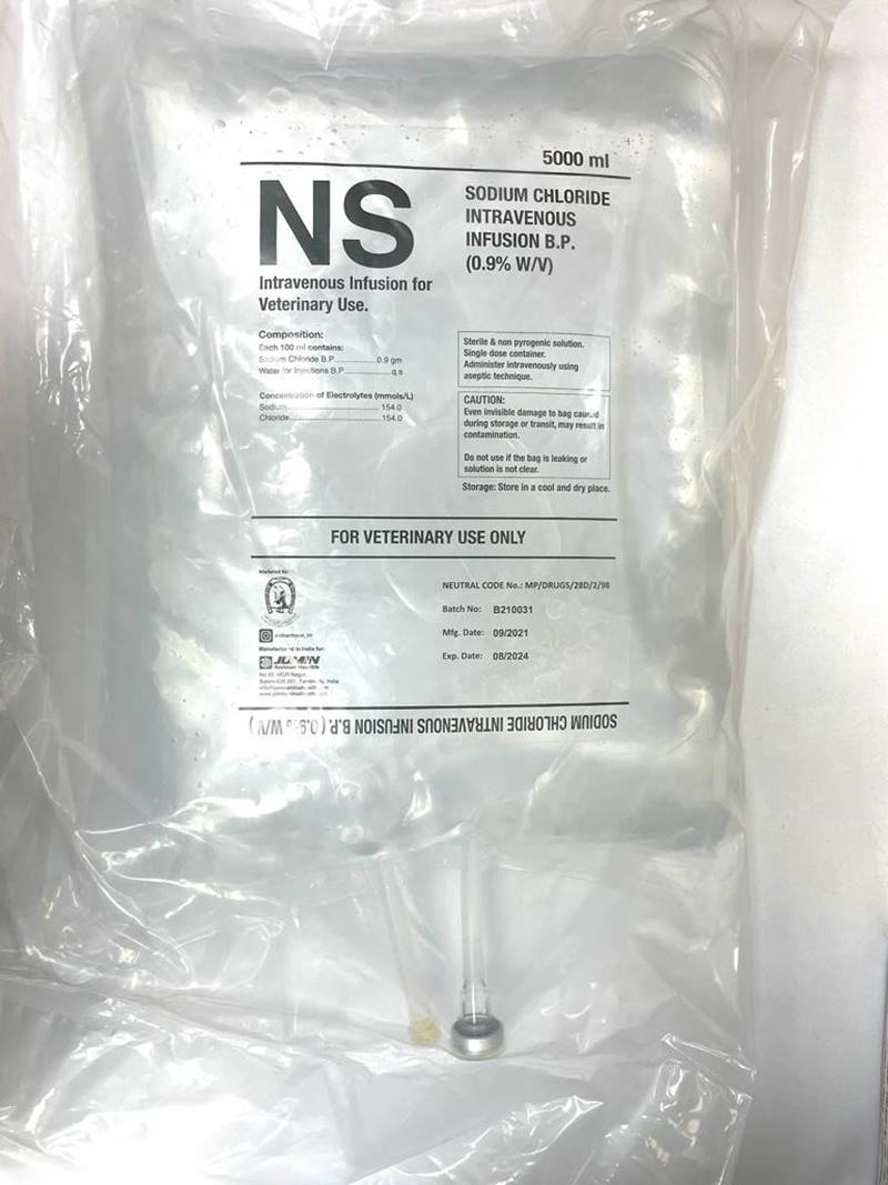 Indore News: बहरीन, ओमान व कतर के राजाओं के घोड़ों के उपचार में ...