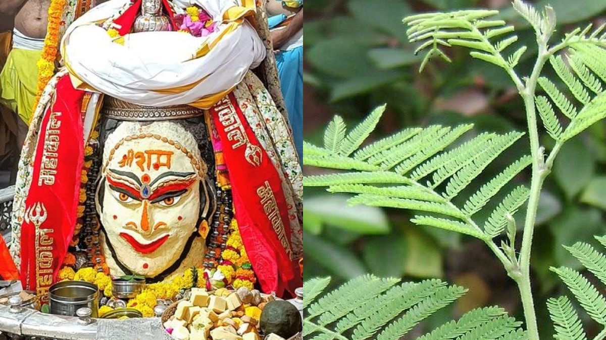 Mahakal Shami Puja: महाकाल मंदिर में मनाया जा रहा दशहरा, पालकी में सवार ...