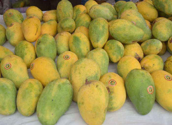 Mango Festival in Bhopal: 11 जिलों से भोपाल में आई आम की बहार, मधुर ...