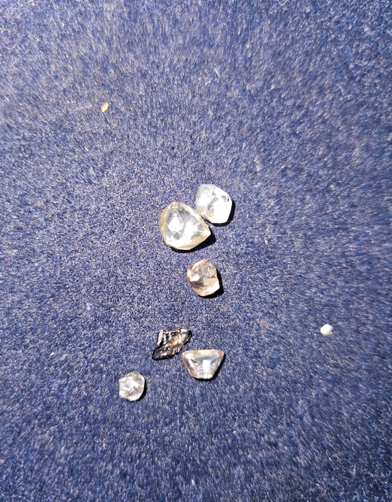 Panna Diamond: पन्ना में हीरे ने चमकाई भाई-बहन की किस्‍मत, जमा किए 6 ...