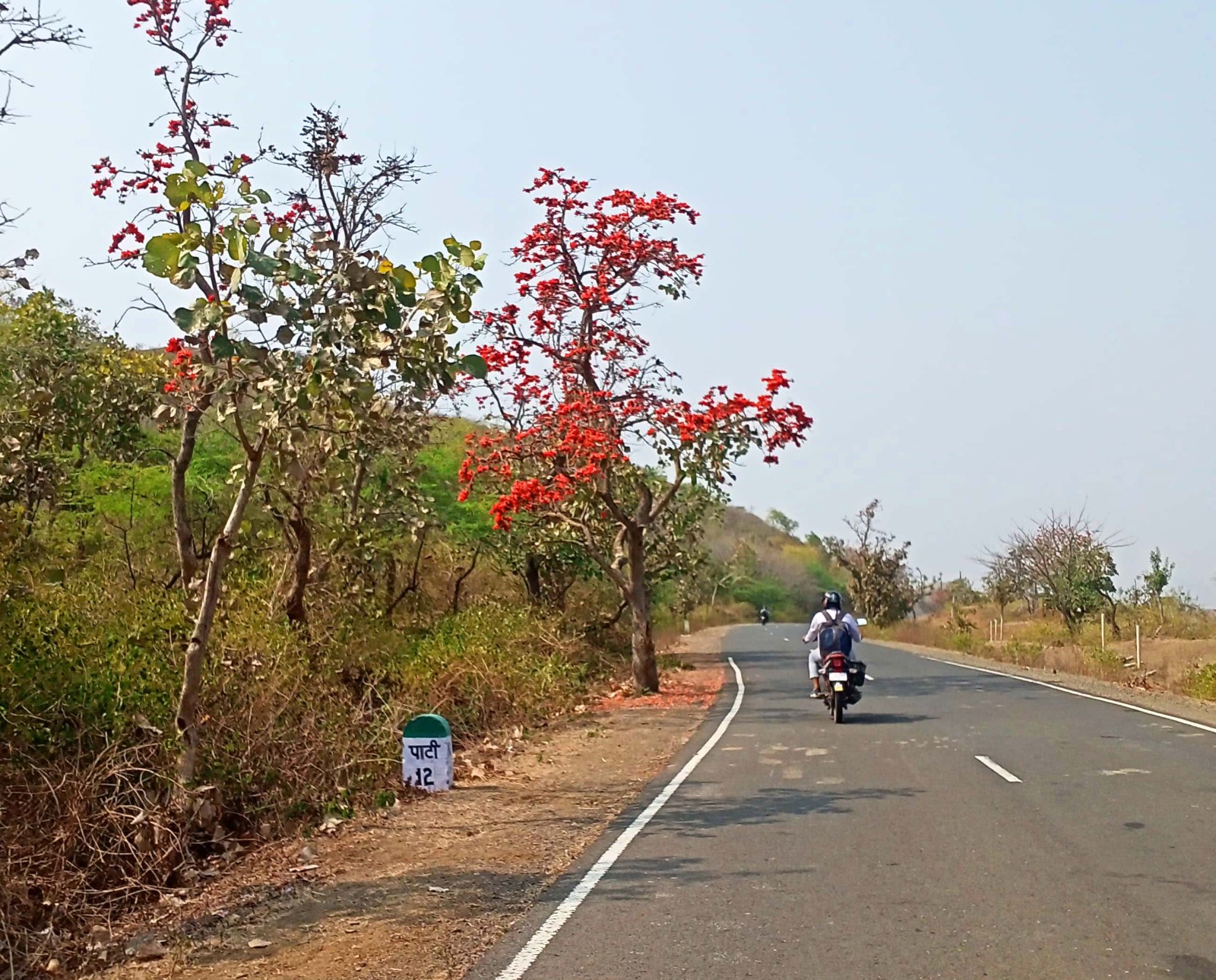Holika Dahan 2024: होलिका दहन 24 मार्च को, डंडा रोपकर हो रहा प्रतिदिन ...