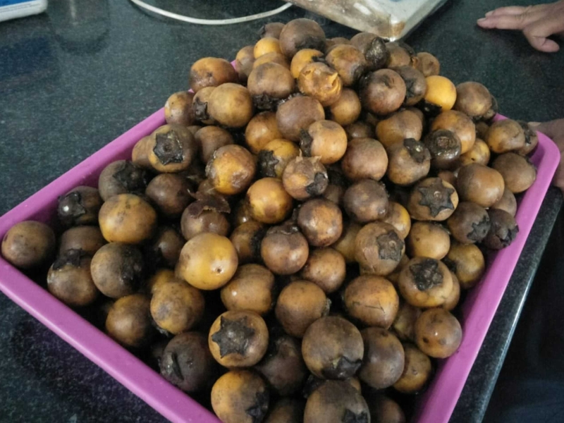 Tendu Fruit Juice: रोग प्रतिरोधक क्षमता बढ़ाने के लिए जल्दी ही बाजार ...