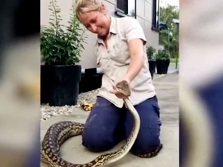 VIDEO: बिल्ली को निगलकर छुप गया अजगर, बहादुर महिला ने ऐसे पकड़ा