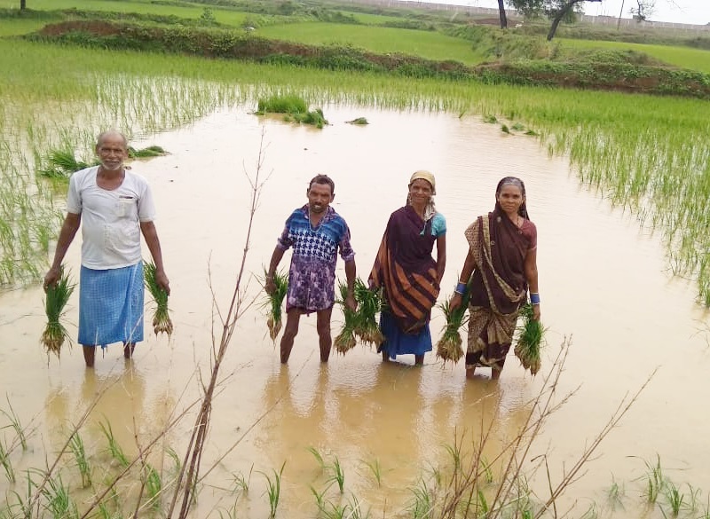 Chhattisgarh Weather : 20 दिन बाद झमाझम, खुशी में झूमे लोग बोले, पहली ...
