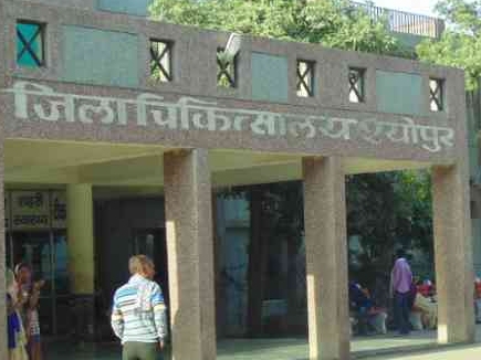 श्‍योपुर जिला अस्पताल के पार्क में फेंका नवजात का शव, नोचते रहे कुत्ते