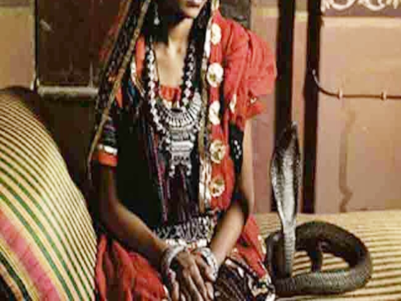 छात्रा का दावा, नाग ने मांग में भरा सिंदूर, अब सावन महीने में करेगी शादी