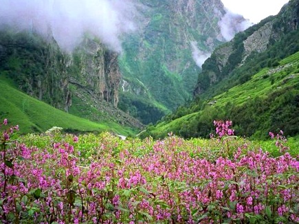 खिलते हैं फूल यहां रंग बदलने को...