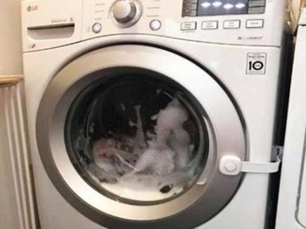 OMG: वाशिंग मशीन में फंसकर मासूम की मौत, जानिए कैसे हुआ यह - Minor ...