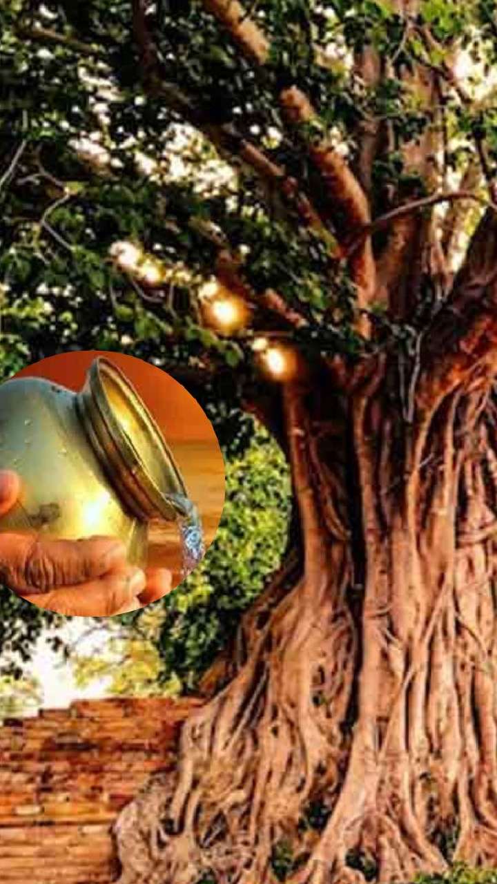 बरगद के पेड़ को जल देने से होंगे ये फायदे