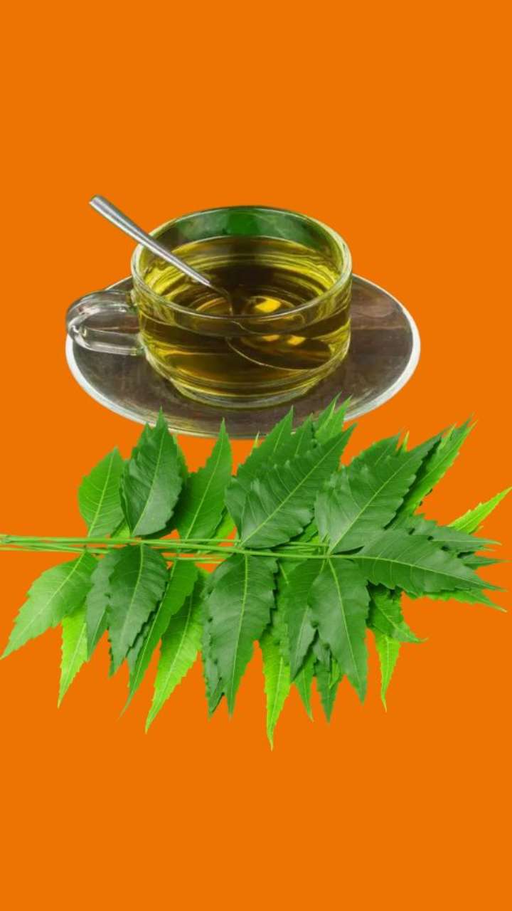 Web-stories in Hindi, Latest वेब स्टोरी न्यूज़, Entertainment, Health ...